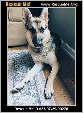 Michigan German Shepherd Rescue