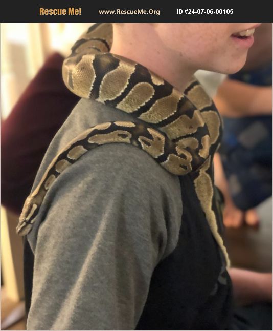 ADOPT 24070600105 ~ Reptile/Amphibian Rescue ~ Mount Airy, MD