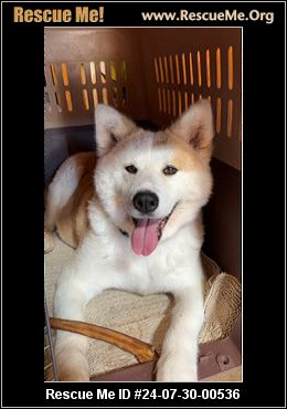 - New Jersey Dog Rescue - ADOPTIONS - Rescue Me!