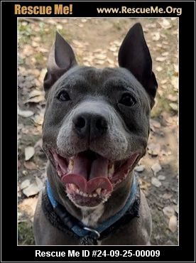 Ada County Animal Shelter