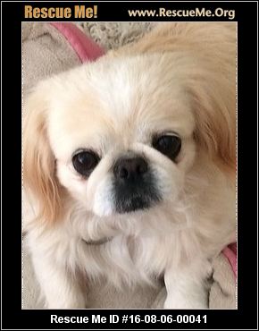 California Pekingese Rescue ― ADOPTIONS ― RescueMe.Org