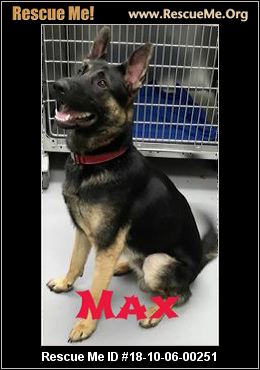 - New Jersey Dog Rescue - ADOPTIONS - Rescue Me!