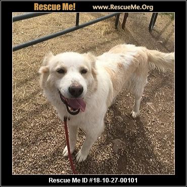- Utah Dog Rescue - ADOPTIONS - Rescue Me!