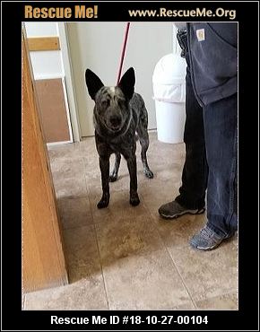 - Utah Dog Rescue - ADOPTIONS - Rescue Me!