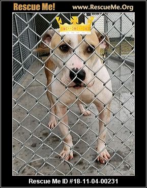 - Virginia Dog Rescue - ADOPTIONS - Rescue Me!