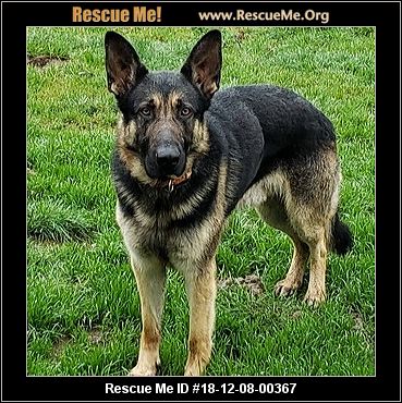 - Oregon Dog Rescue - ADOPTIONS - Rescue Me!