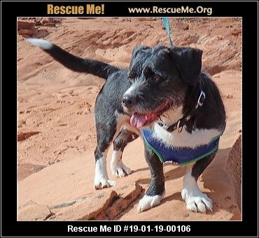 - Utah Dog Rescue - ADOPTIONS - Rescue Me!