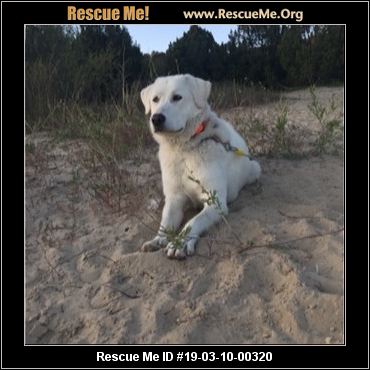 - Utah Dog Rescue - ADOPTIONS - Rescue Me!