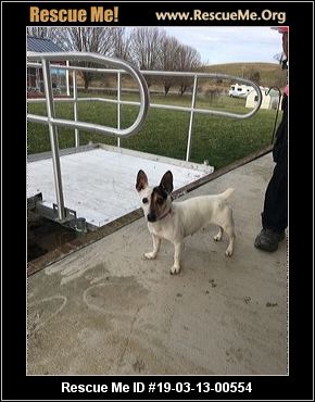 - Virginia Dog Rescue - ADOPTIONS - Rescue Me!