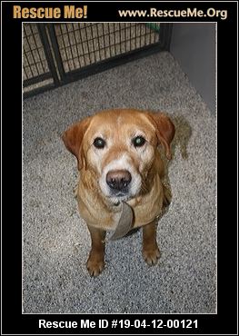 - Utah Dog Rescue - ADOPTIONS - Rescue Me!