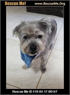 - RUFF Rescue Tucson, Inc. - Tucson, AZ - AVAILABLE PETS
