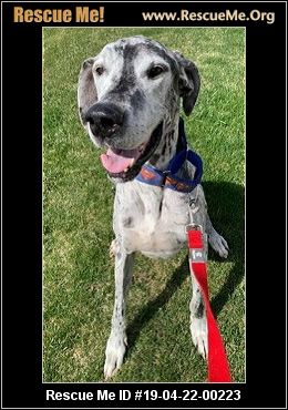 - Idaho Dog Rescue - ADOPTIONS - Rescue Me!