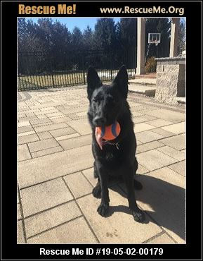 - Indiana German Shepherd Rescue - ADOPTIONS - Rescue Me!
