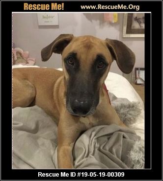 - Utah Dog Rescue - ADOPTIONS - Rescue Me!