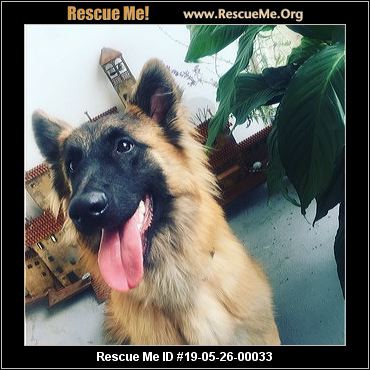 - Utah Dog Rescue - ADOPTIONS - Rescue Me!