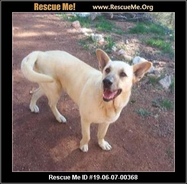 - Colorado German Shepherd Rescue - ADOPTIONS - Rescue Me!