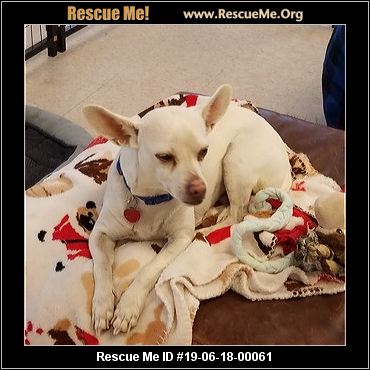 - Utah Dog Rescue - ADOPTIONS - Rescue Me!