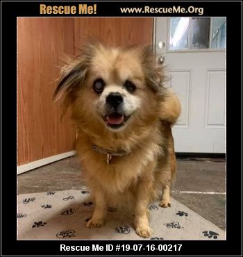 - Tennessee Dog Rescue - ADOPTIONS - Rescue Me!