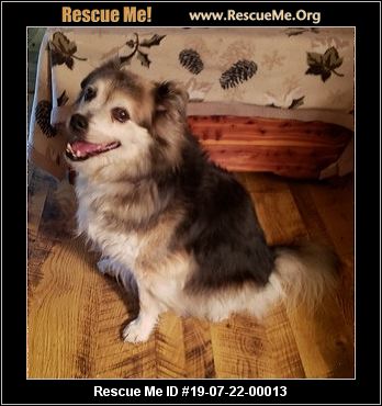 - Virginia Dog Rescue - ADOPTIONS - Rescue Me!