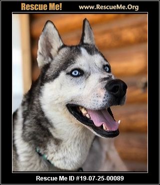 - Utah Dog Rescue - ADOPTIONS - Rescue Me!
