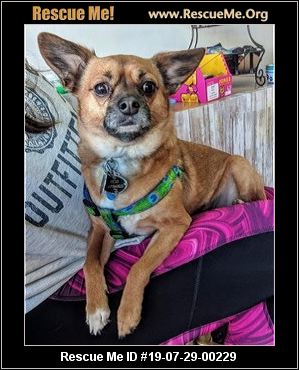 - New York Dog Rescue - ADOPTIONS - Rescue Me!