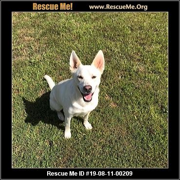 - West Virginia Dog Rescue - ADOPTIONS - Rescue Me!
