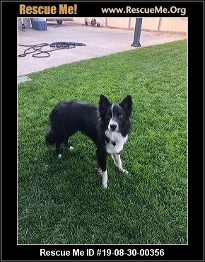 - Utah Dog Rescue - ADOPTIONS - Rescue Me!