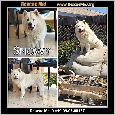 - California Dog Rescue - ADOPTIONS - Rescue Me!