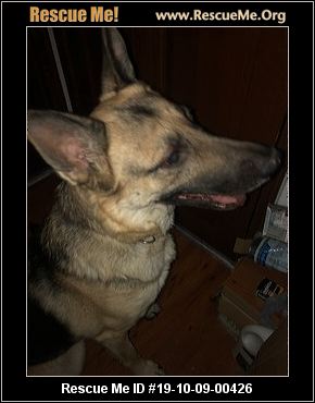 - Texas German Shepherd Rescue - ADOPTIONS - Rescue Me!