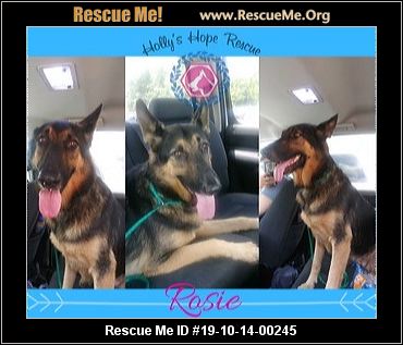 - Texas German Shepherd Rescue - ADOPTIONS - Rescue Me!