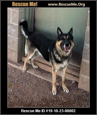 - Colorado Dog Rescue - ADOPTIONS - Rescue Me!