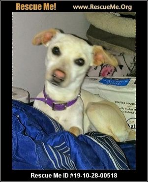 - California Dog Rescue - ADOPTIONS - Rescue Me!