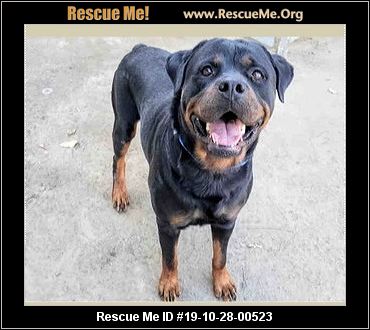 - California Dog Rescue - ADOPTIONS - Rescue Me!