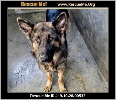 - California Dog Rescue - ADOPTIONS - Rescue Me!