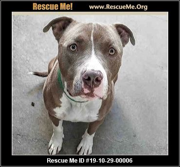 - California Dog Rescue - ADOPTIONS - Rescue Me!