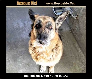 - California Dog Rescue - ADOPTIONS - Rescue Me!