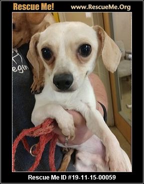 - Utah Dog Rescue - ADOPTIONS - Rescue Me!