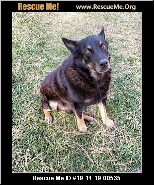 - Colorado German Shepherd Rescue - ADOPTIONS - Rescue Me!