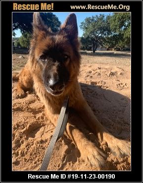 - Texas German Shepherd Rescue - ADOPTIONS - Rescue Me!