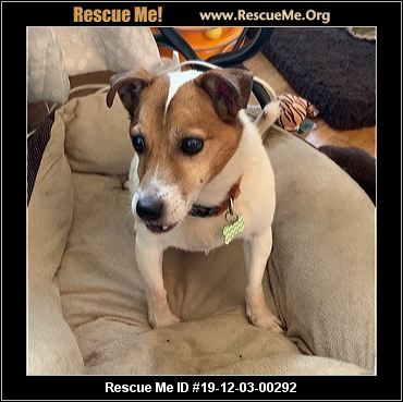 - Virginia Dog Rescue - ADOPTIONS - Rescue Me!