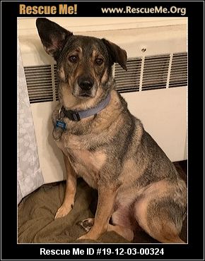 - Virginia Dog Rescue - ADOPTIONS - Rescue Me!