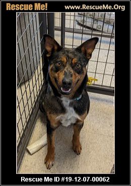- Utah Dog Rescue - ADOPTIONS - Rescue Me!