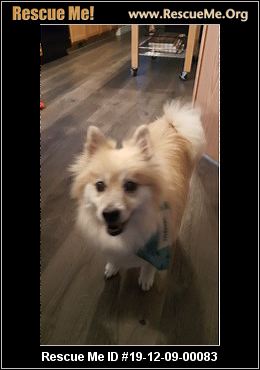 - Colorado Dog Rescue - ADOPTIONS - Rescue Me!