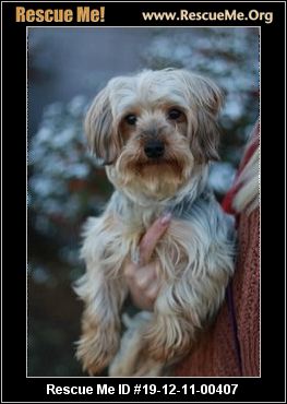 - Tennessee Dog Rescue - ADOPTIONS - Rescue Me!