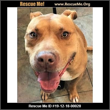 - California Dog Rescue - ADOPTIONS - Rescue Me!