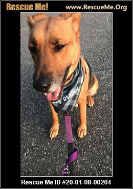 - Indiana Boxer Rescue - ADOPTIONS - Rescue Me!