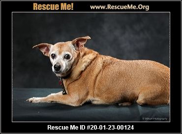 - Utah Dog Rescue - ADOPTIONS - Rescue Me!