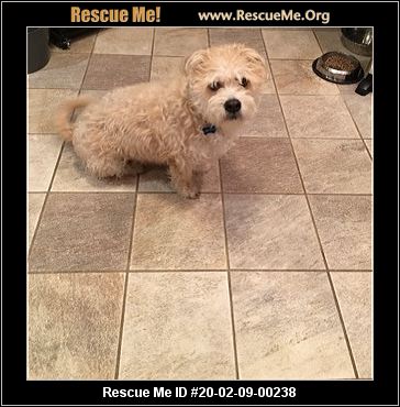 - Delaware Dog Rescue - ADOPTIONS - Rescue Me!