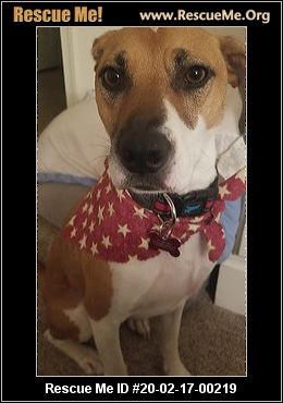 - Pennsylvania Beagle Rescue - ADOPTIONS - Rescue Me!