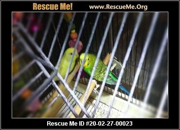 - Washington Pet Bird Rescue - ADOPTIONS - Rescue Me!